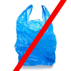 ACUA - Why a Plastic Bottle Should Always Go in Your Recycling Bin but ...